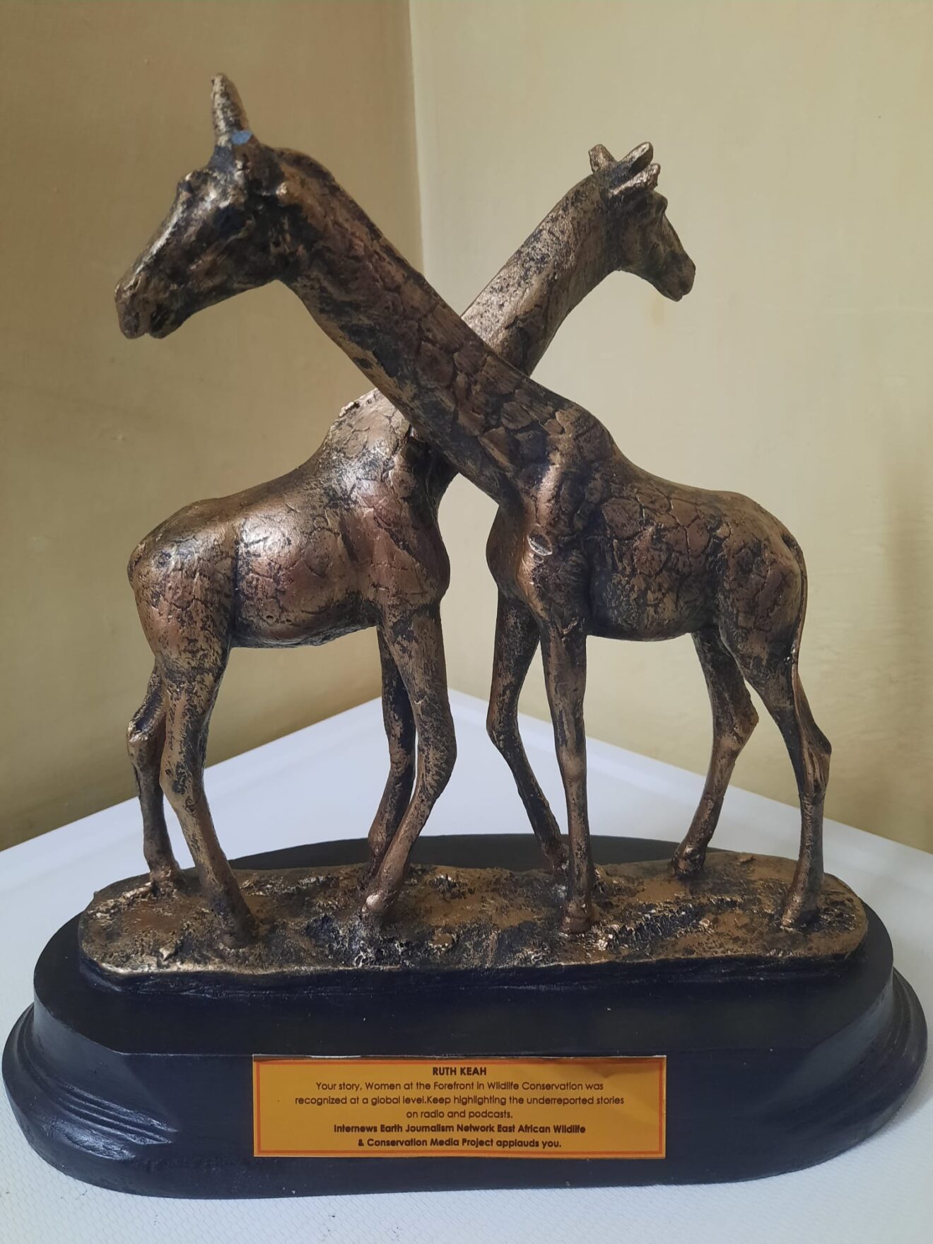 Media For Nature official among journalists recognized for Wildlife ...