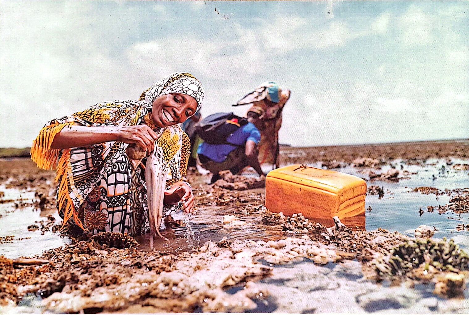 Hope Beneath the Tides: New Strategies Target Sustainable Octopus ...