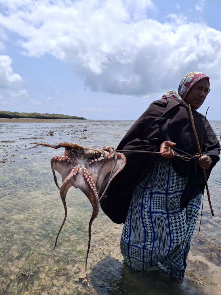 Hope Beneath the Tides: New Strategies Target Sustainable Octopus ...